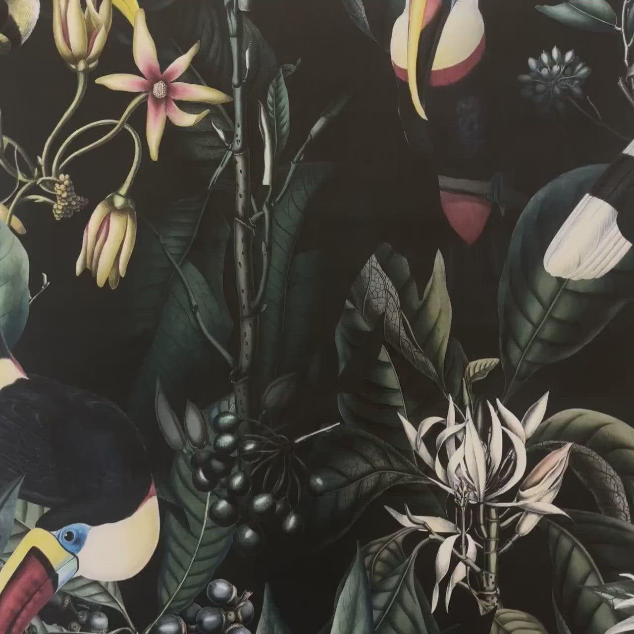 Dark Botanical Tropical Wallpaper – Wallpapers4Beginners