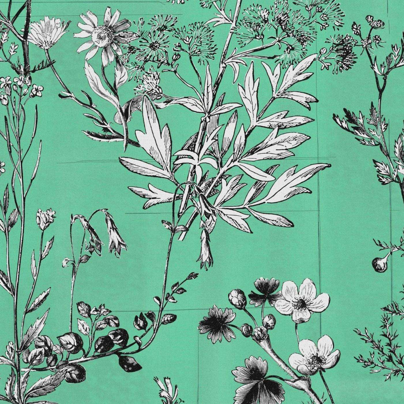 Botanical Illustrations Wallpaper – Wallpapers4Beginners