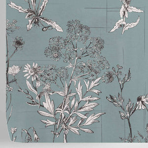 Botanical Illustrations Wallpaper – Wallpapers4Beginners