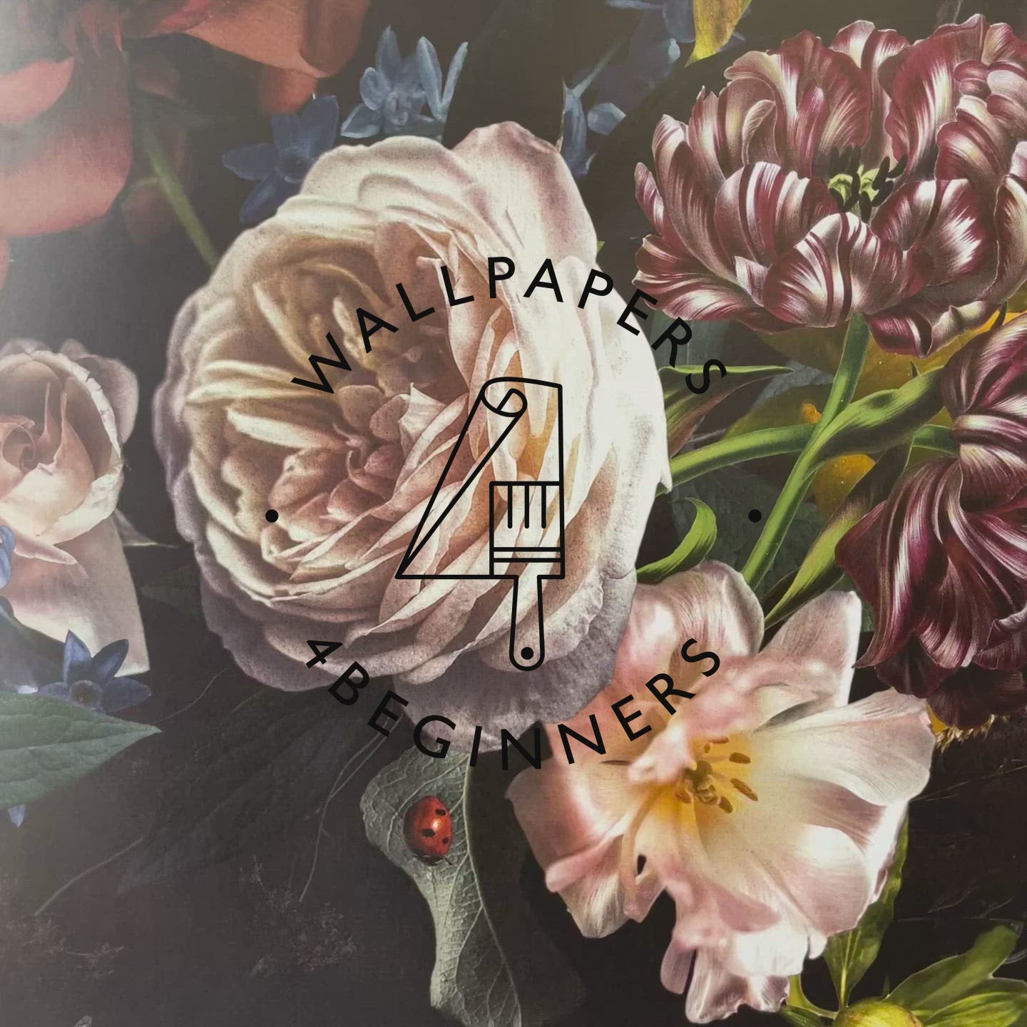 ALL WALLPAPERS | Wallpapers4Beginners