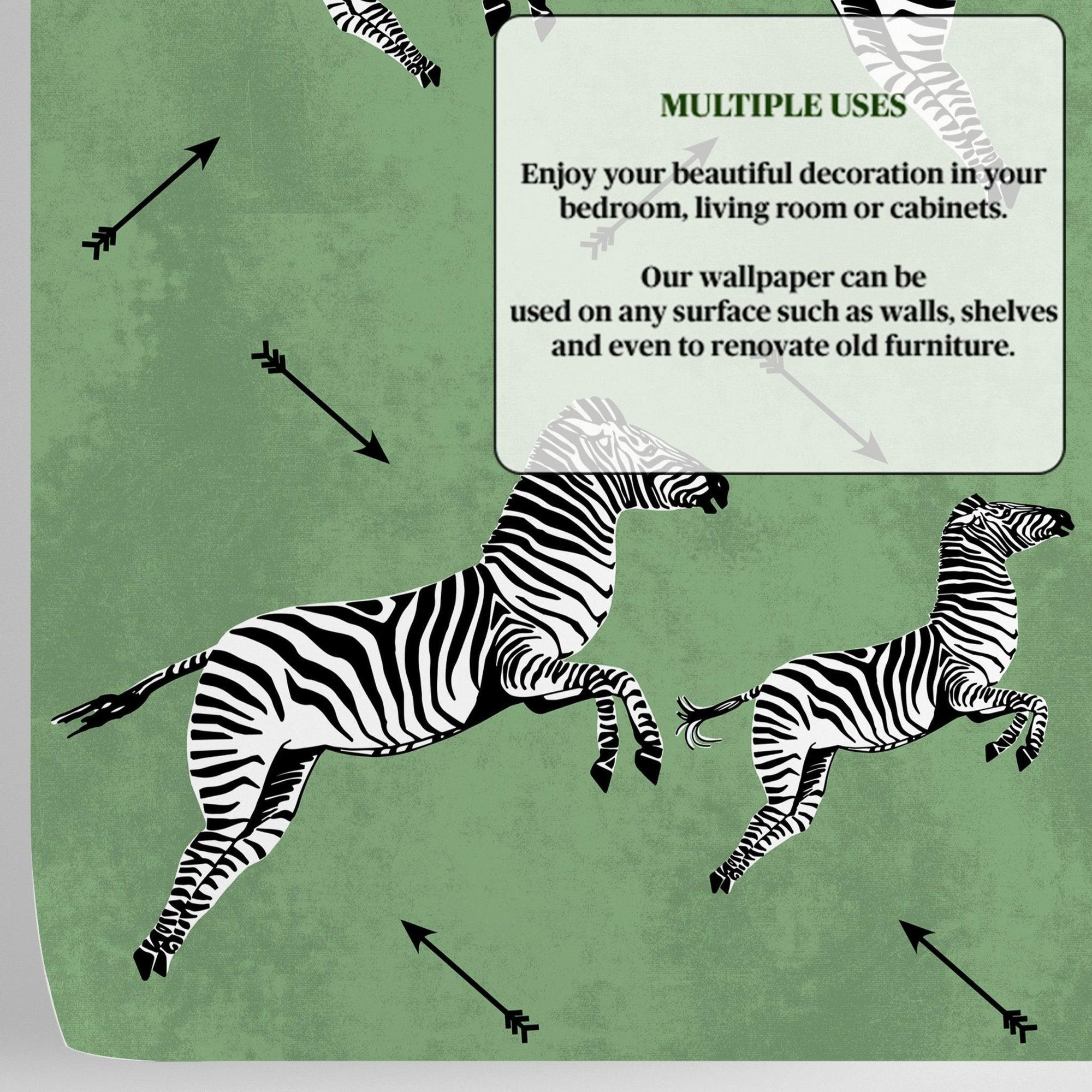 Flying Zebra Wallpaper – Wallpapers4Beginners