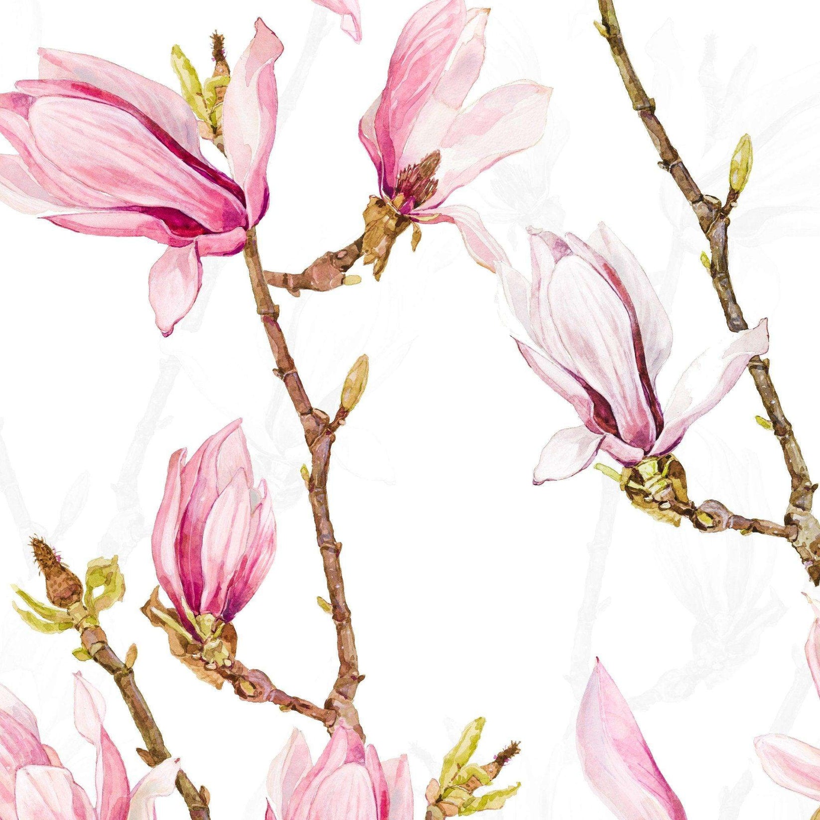 Magnolia flowers wallpaper – Wallpapers4Beginners
