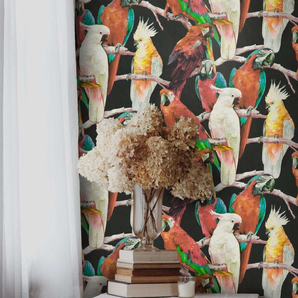 Parrots Wallpaper – Wallpapers4Beginners