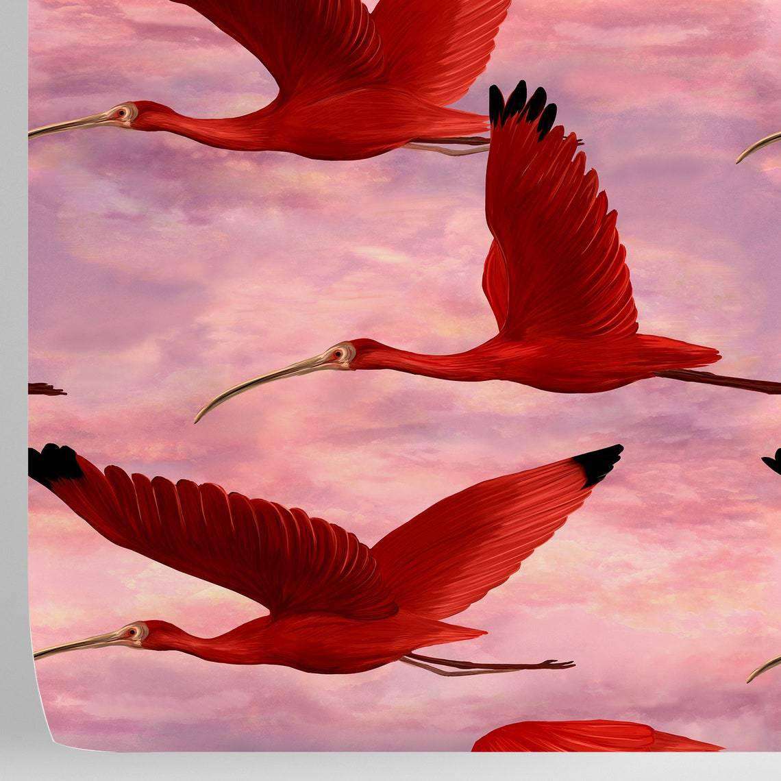 Pink Bird Wallpaper – Wallpapers4Beginners