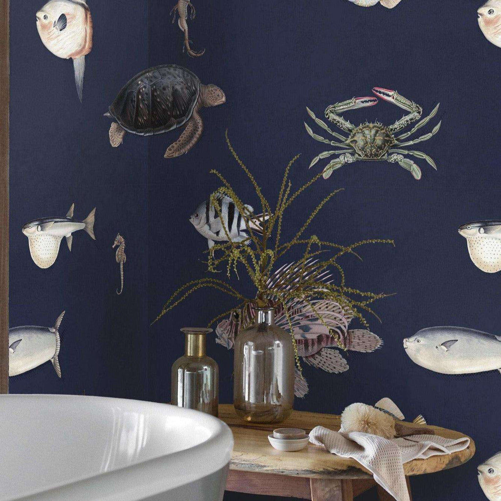 Tropical Fish Wallpaper – Wallpapers4Beginners